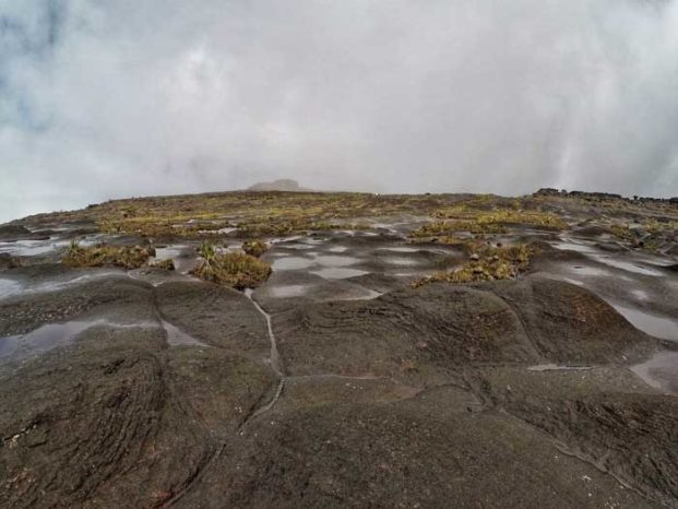 Mount Roraima Hike: Up On Top Venezuela’s Lost World